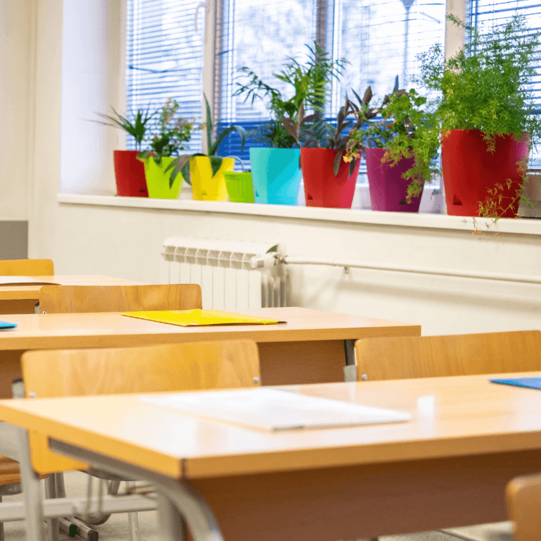 How To Create a Calming Classroom Environment That Your Students Love ...