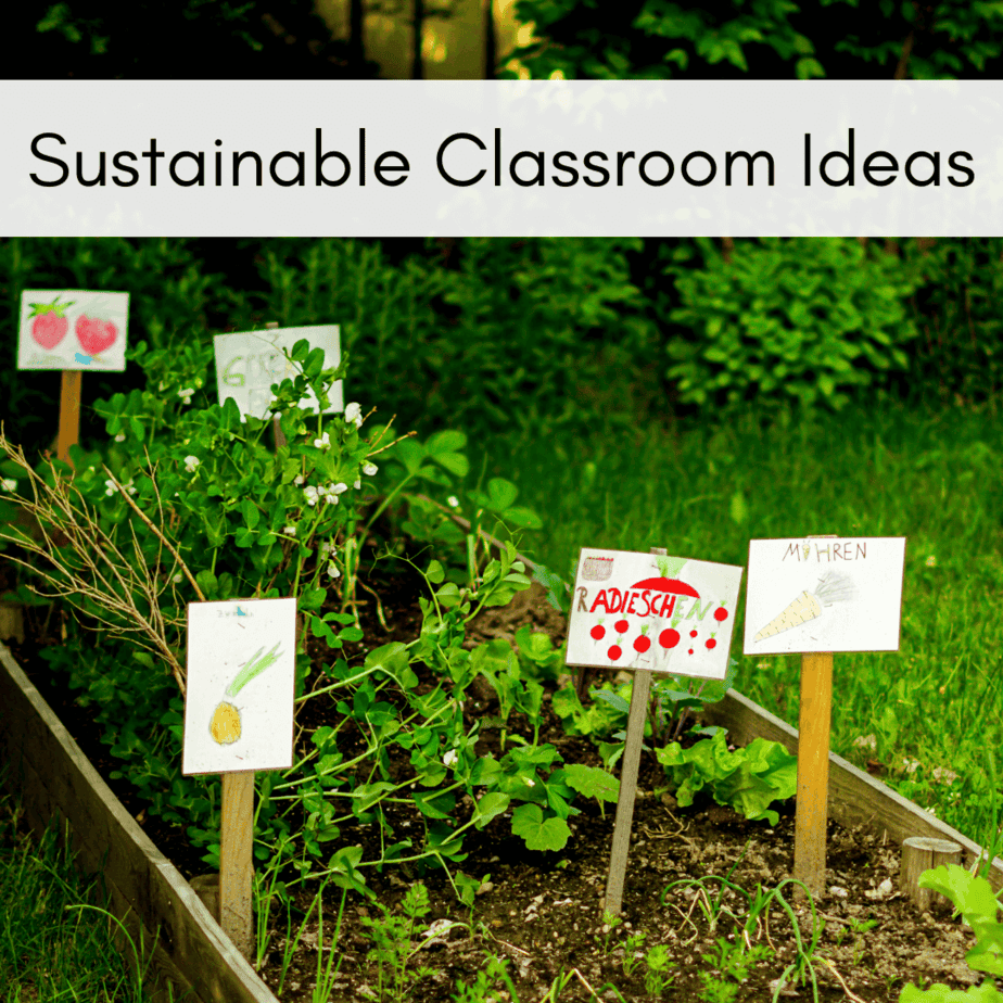 19 Important Eco Friendly Classroom Ideas to Teach Your Students about ...