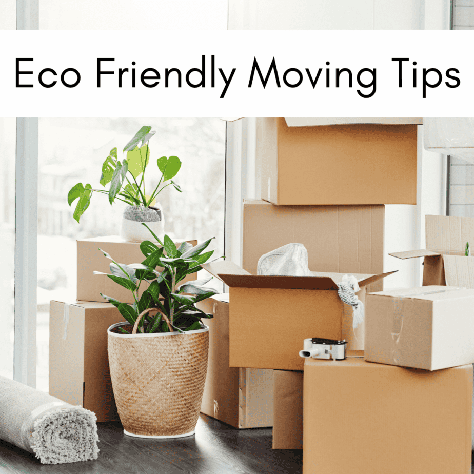 13 Incredibly Clever Eco-Friendly Moving Tips To Save Money And Stay ...