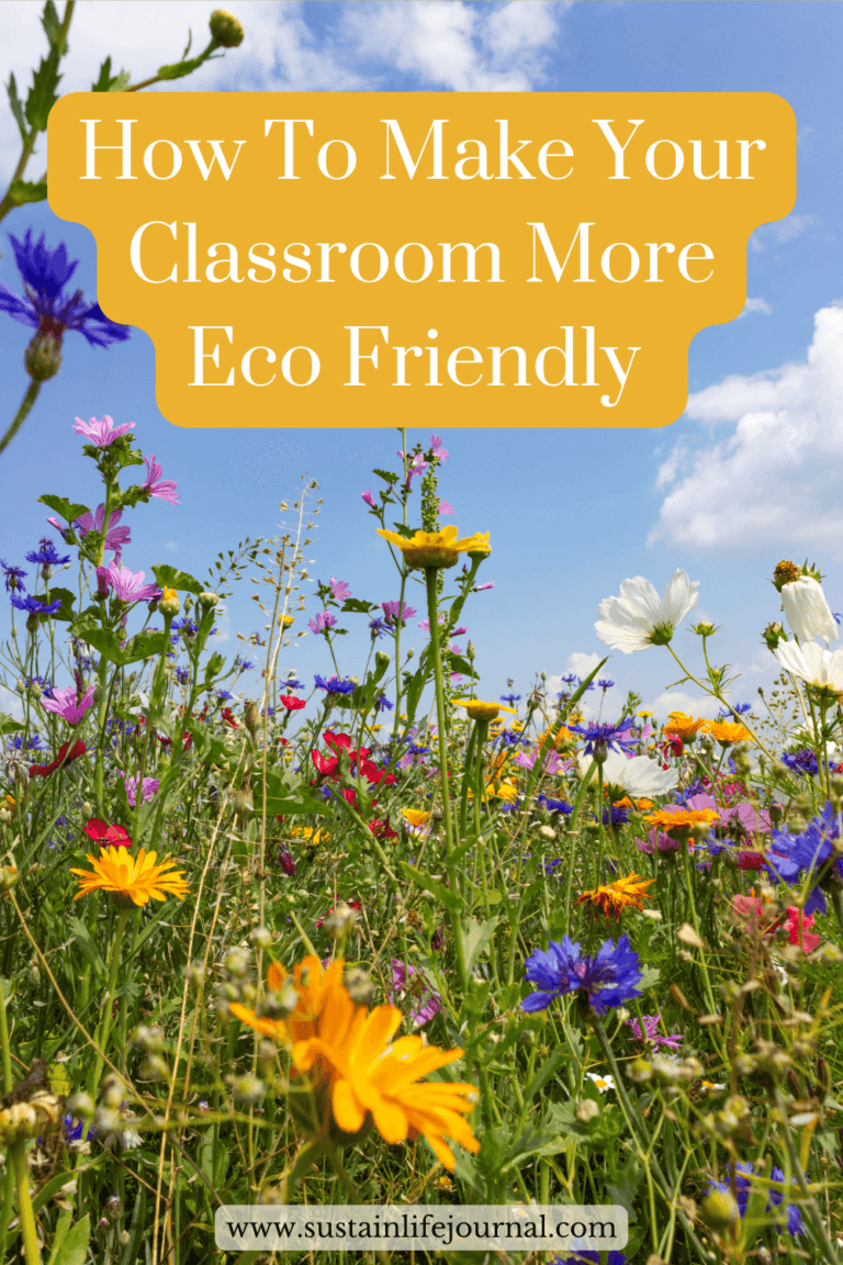 19 Important Eco Friendly Classroom Ideas to Teach Your Students about ...