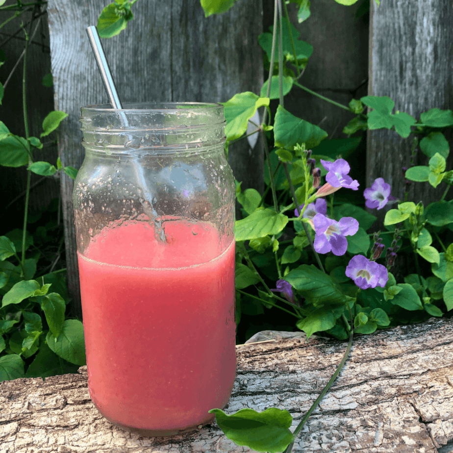 5 Incredibly Helpful Tips to Juice Without a Juicer - Sustain Life Journal