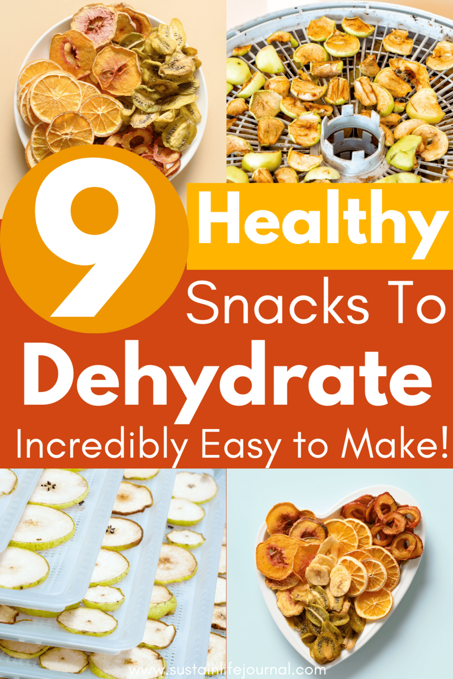 The Best Foods To Dehydrate For Snacks - Sustain Life Journal