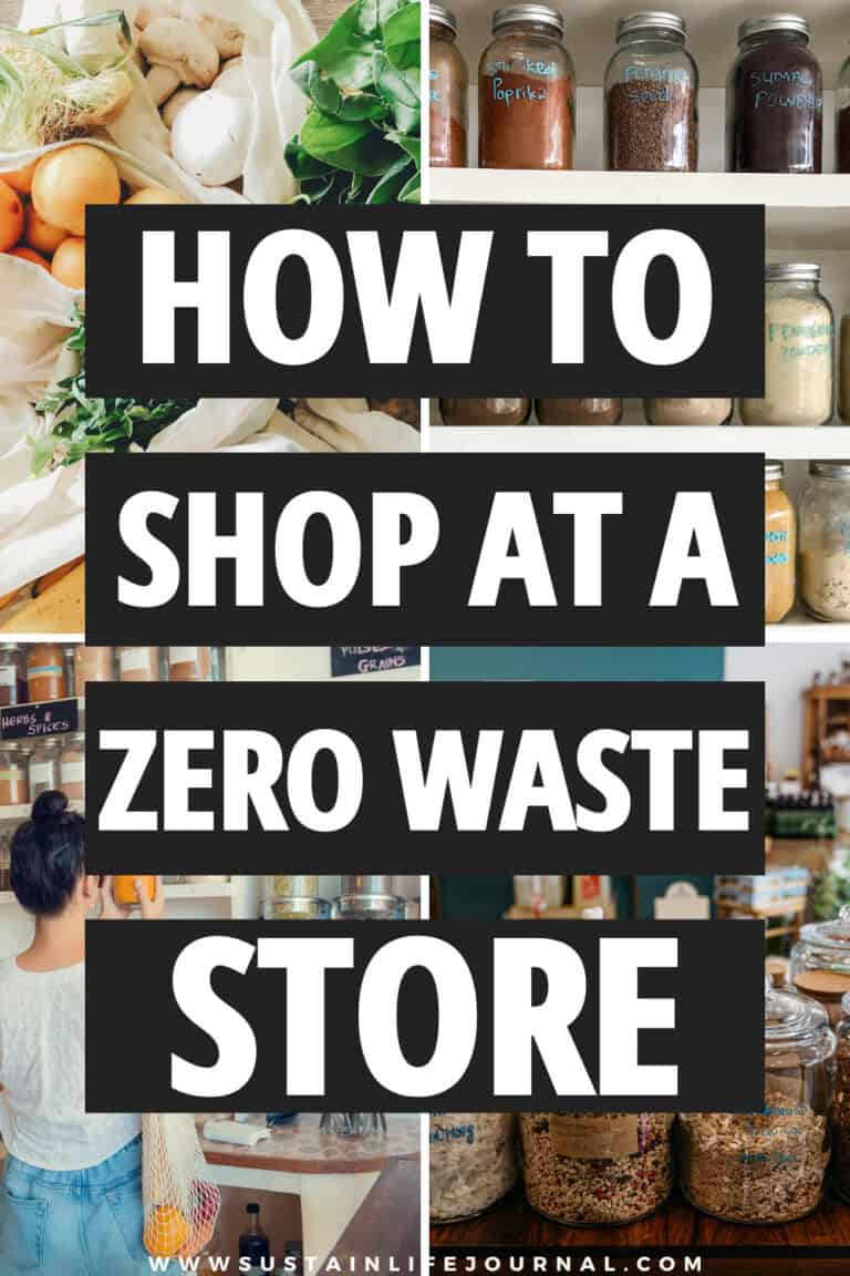 How to Shop at a Zero Waste Store For Complete Beginners - Sustain Life ...