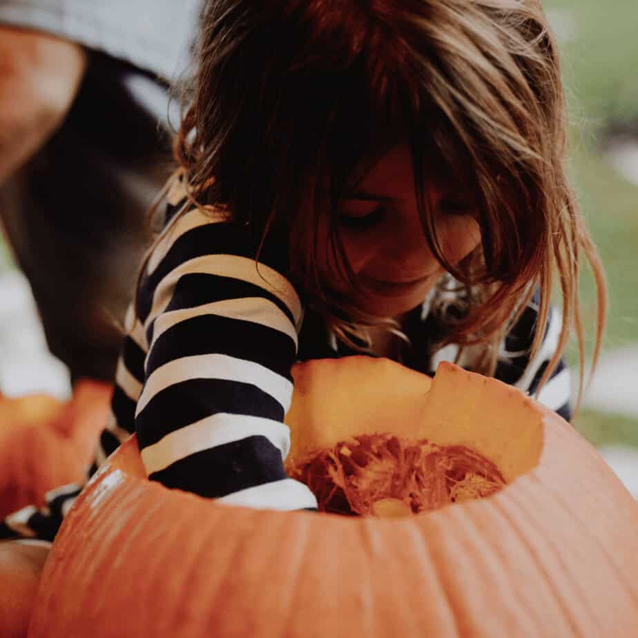 7 Sustainable Fall Family Activities For New Fall Traditions - Sustain ...