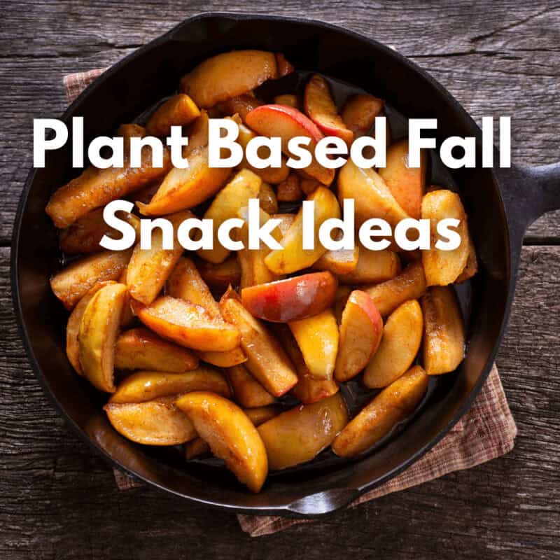 5 Healthy Plant-Based Fall Snack Ideas You Need To Try This Fall Season ...