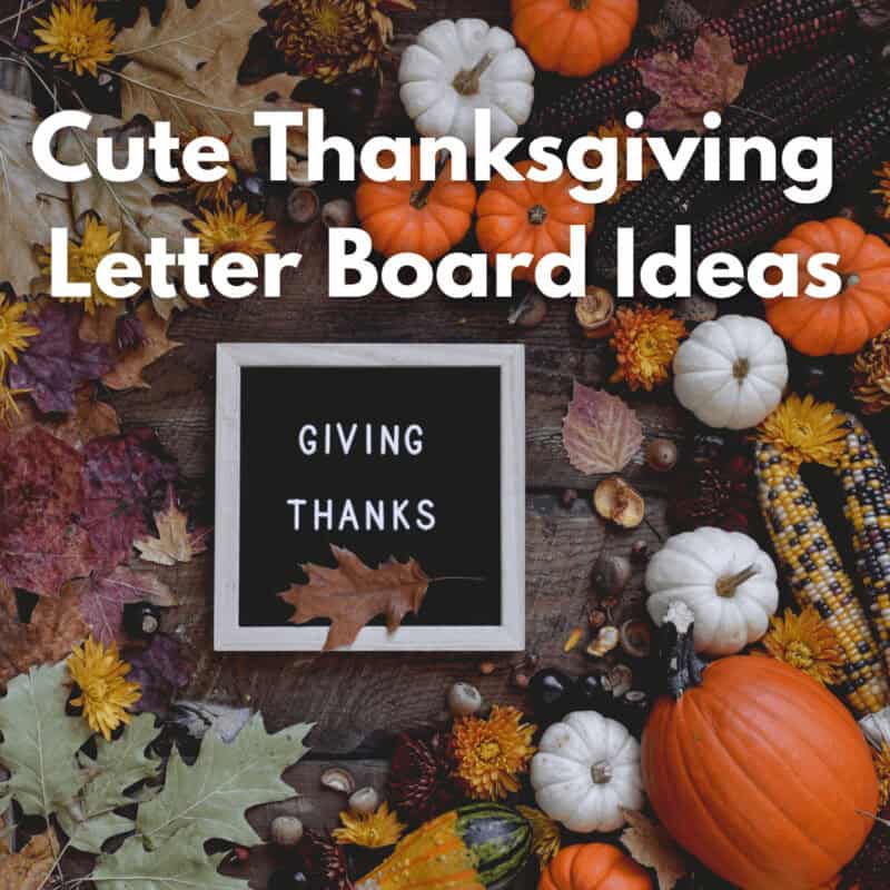 28 Cute Thanksgiving Letter Board Ideas You Need to Copy - Sustain Life ...
