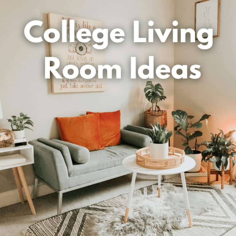 16 Budget-Friendly College Living Room Ideas You Will Love - Sustain ...