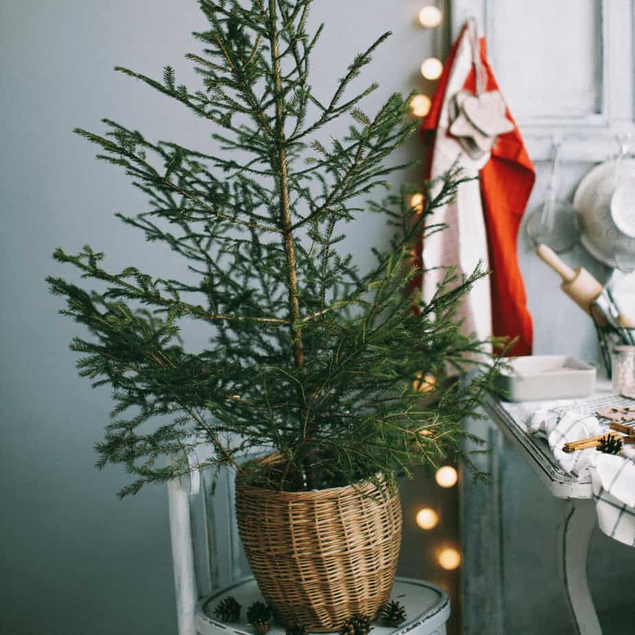 7 Impactful Ideas For a Sustainable Christmas Season - Sustain Life Journal