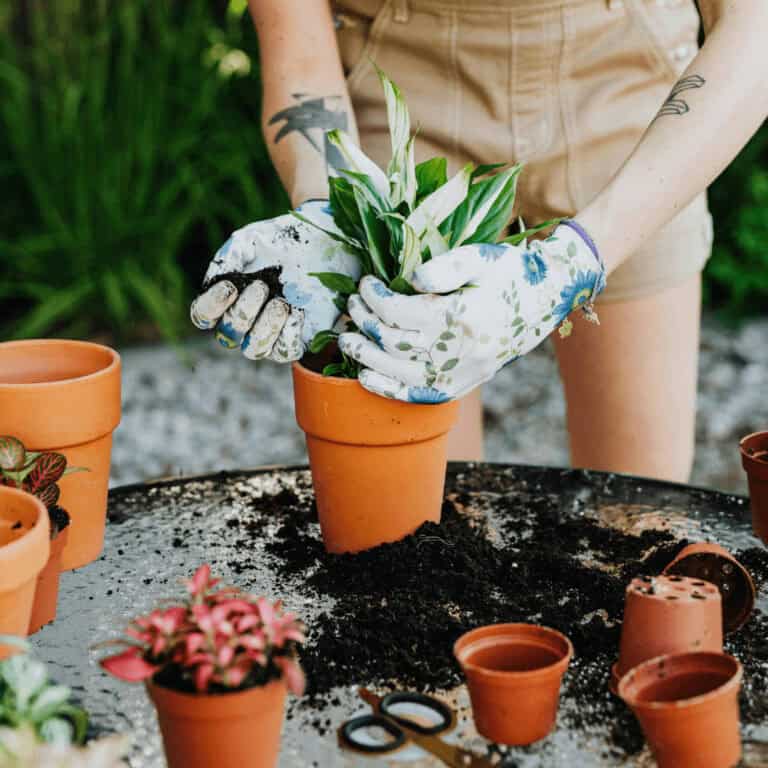 10 Must Know Gardening Safety Tips For Beginner Gardeners - Sustain ...