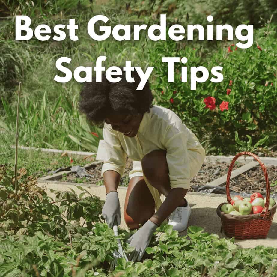 10 Must Know Gardening Safety Tips For Beginner Gardeners - Sustain ...