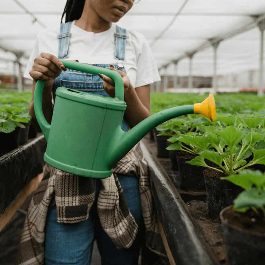 10 Must Know Gardening Safety Tips For Beginner Gardeners - Sustain ...