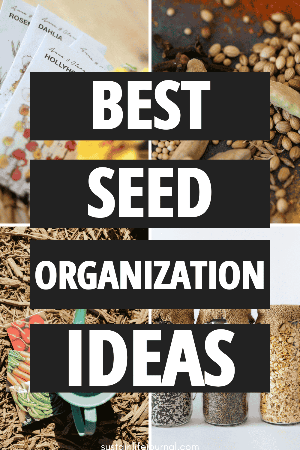 11 Practical Tips For How to Organize Seeds The Right Way - Sustain ...