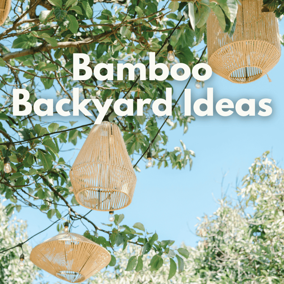 20 Creative Bamboo Backyard Ideas to Transform Your Outdoor Space ...