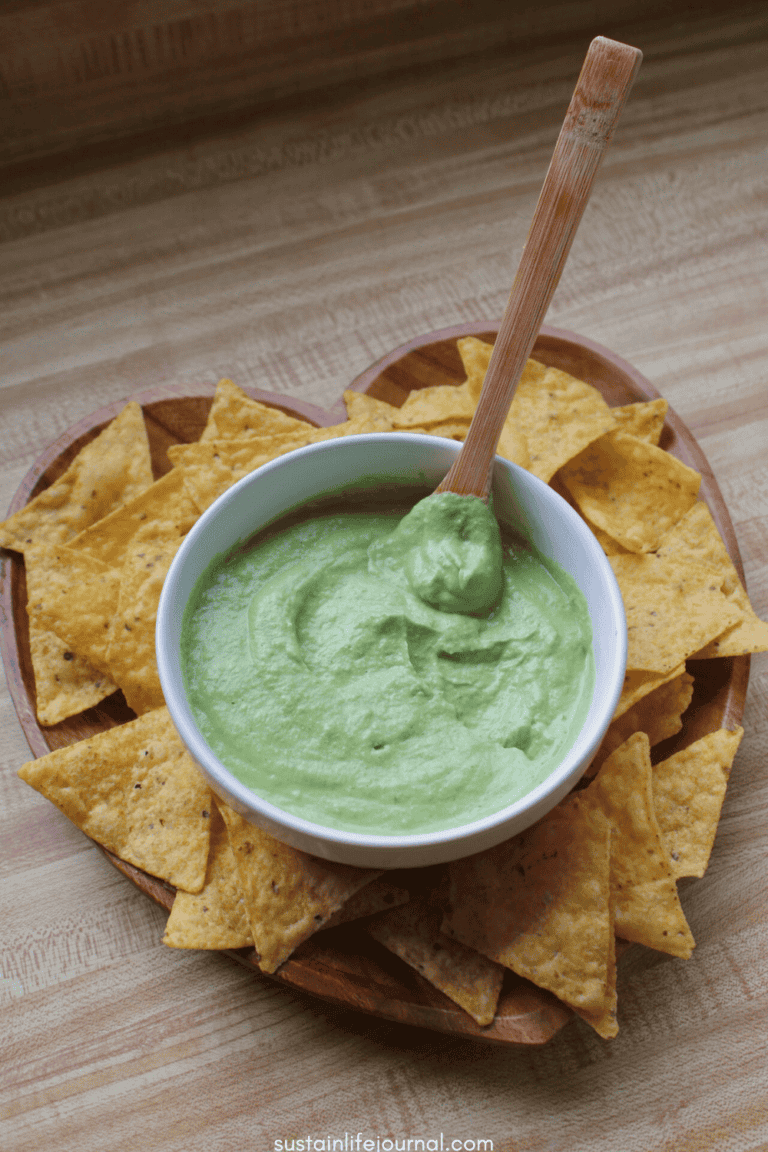 Creamy Vegan Cilantro Lime Crema Recipe You'll Be Obsessed With ...