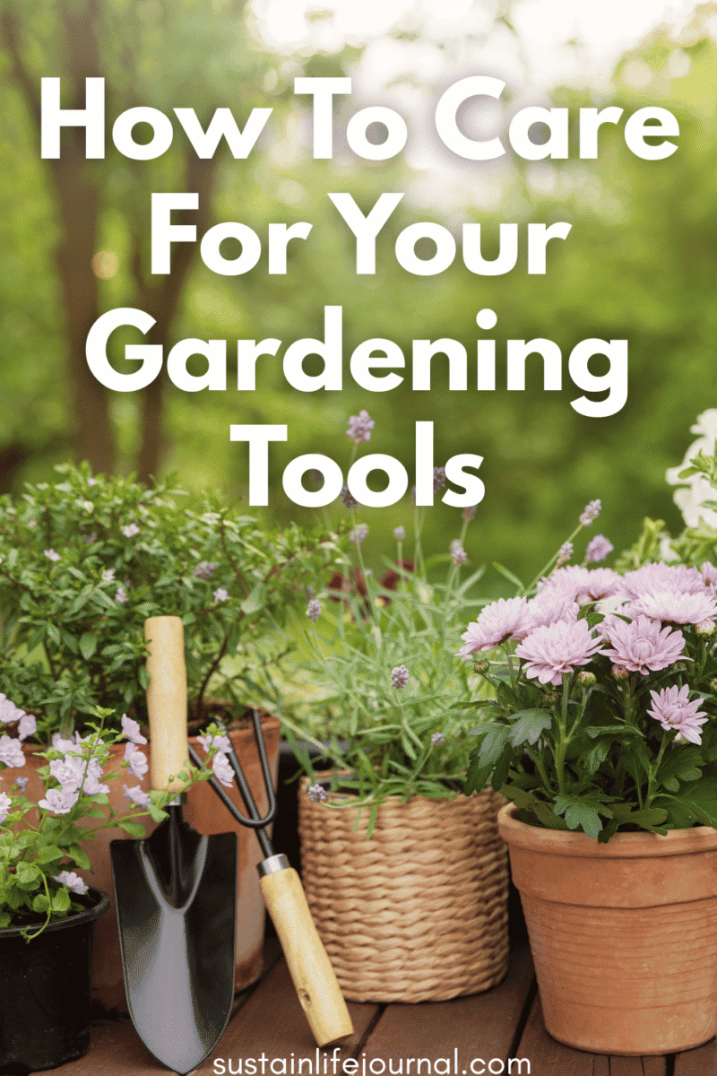 Ultimate Guide To the Best Gardening Tool Sets For Beginners - Sustain ...