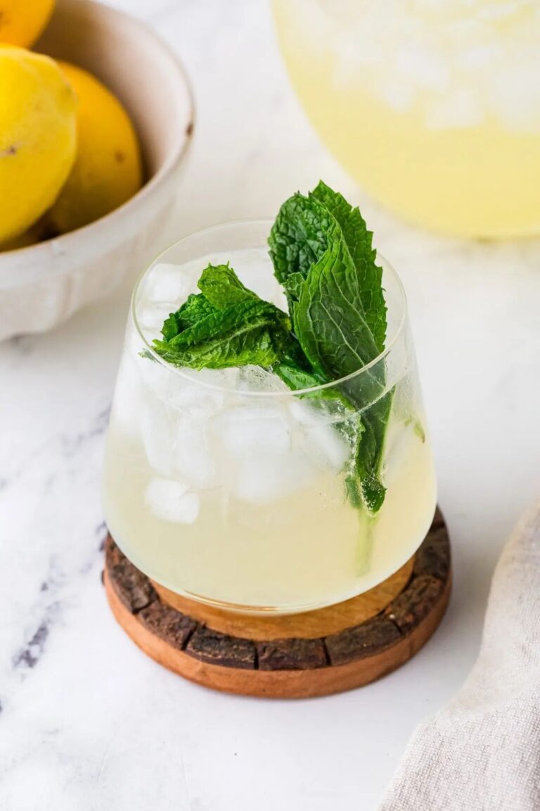 Must Try Easy Mocktails Recipes To Make at Home - Sustain Life Journal